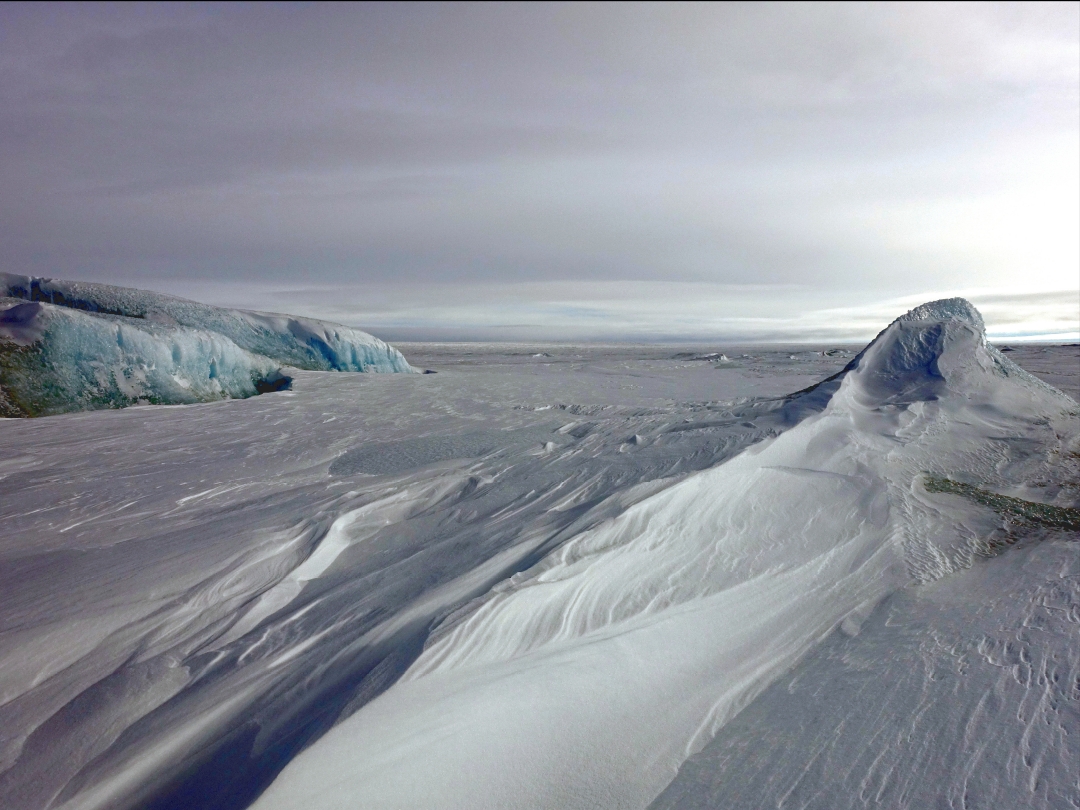 Biodiversity Day Talk: Ice Alive – To The Poles