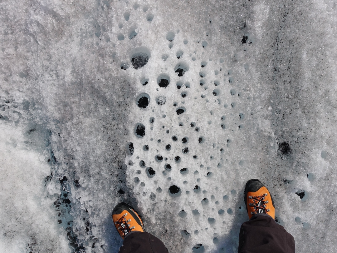 Biodiversity Day Talk: Ice Alive – To The Poles