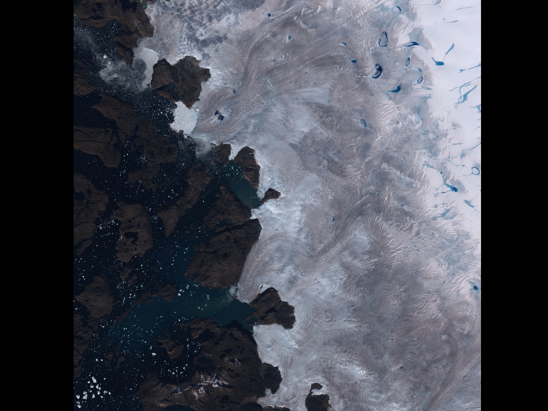 Biodiversity Day Talk: Ice Alive – To The Poles