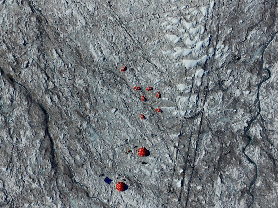 Biodiversity Day Talk: Ice Alive – To The Poles